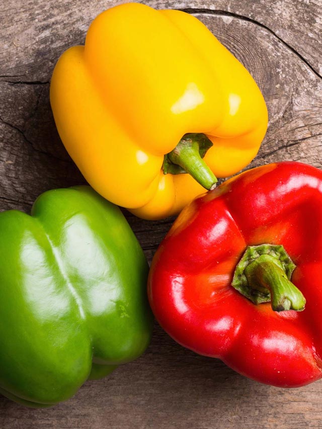 Capcicum: క్యాప్సికంతో అదిరిపోయే ఆరోగ్య ప్రయోజనాలు – NTV Telugu