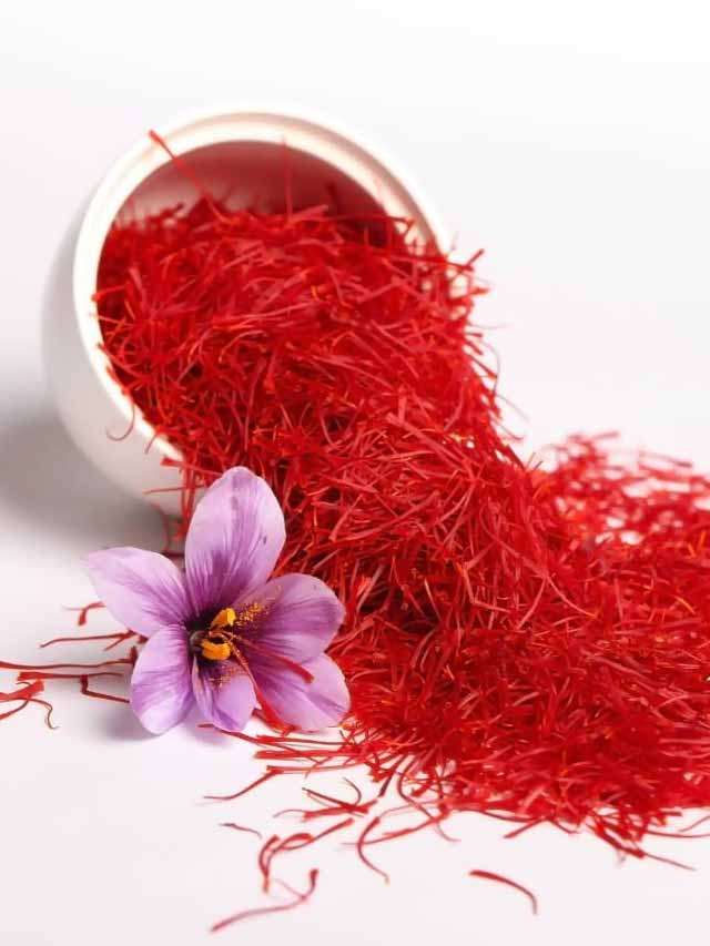 Saffron Flower: కుంకుమ పువ్వుతో.. ఈ సమస్యలన్నీ హాంఫట్ – NTV Telugu