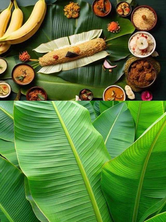 Banana leafs: అరిటాకులో భోజనం చేస్తే ఎన్ని ప్రయోజనాలో..! – NTV Telugu