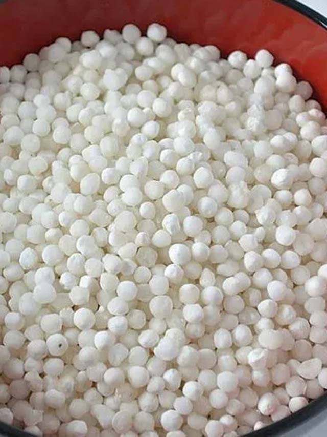 Sago rice: సగ్గు బియ్యంతో సీజనల్ వ్యాధుల నుంచి బయటపడొచ్చు! – NTV Telugu