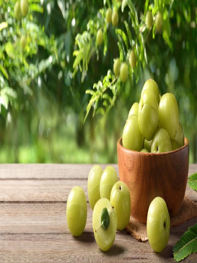 Amla Benefits : ఆమ్లా లేదా ఉసిరికాయ ఆరోగ్య ప్రయోజనాలు – NTV Telugu