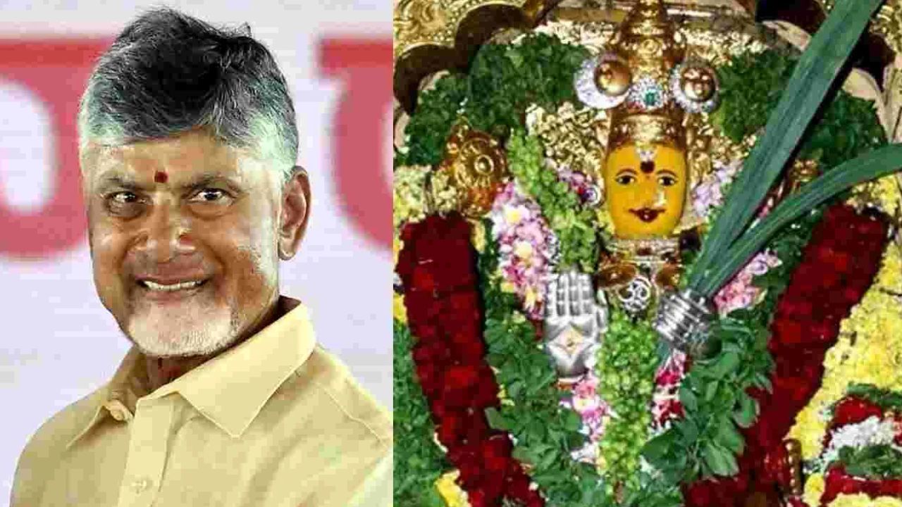 New Year 2025: EO Shyamala Rao presented TTD diary and calendar to CM Chandrababu - NTV Telugu