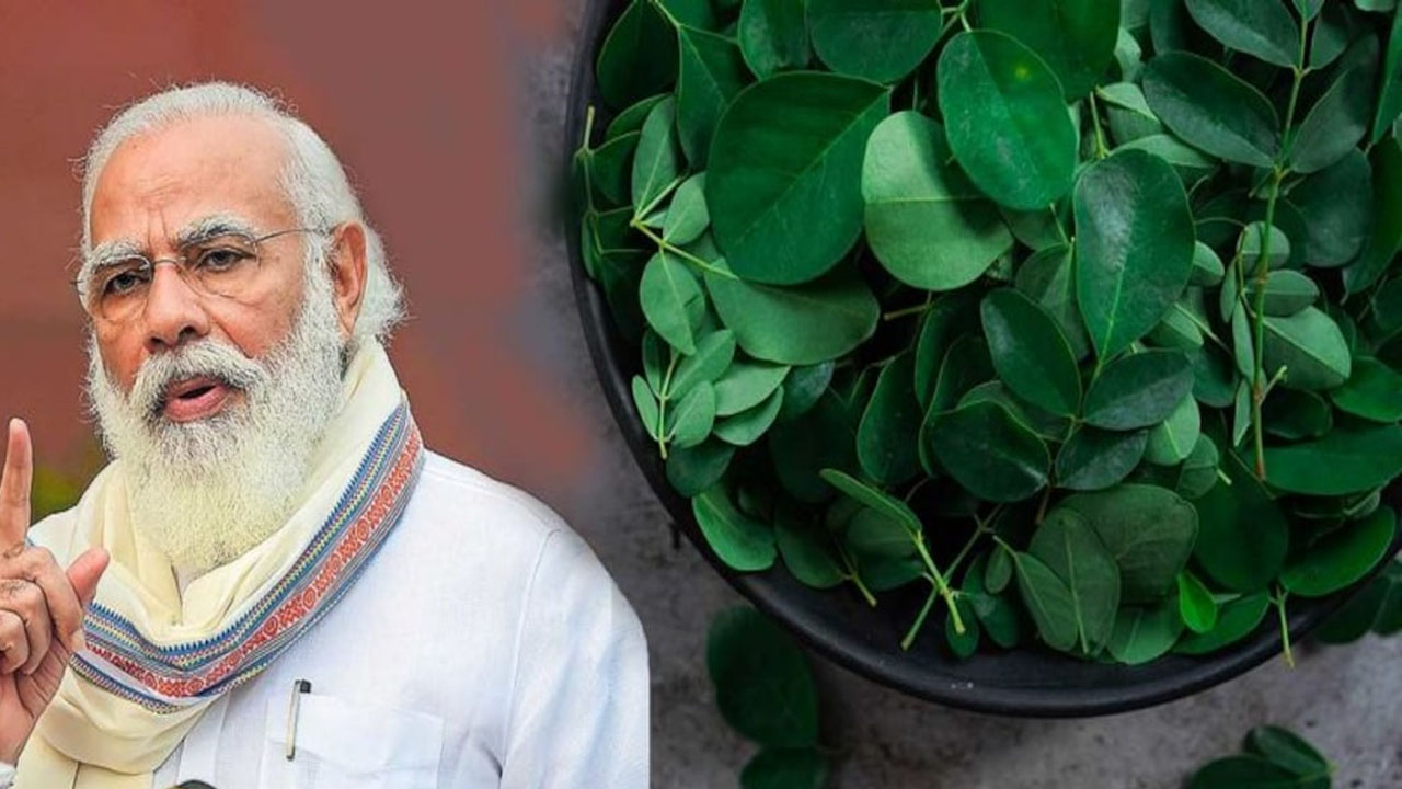 PM Modi Health Secret: Drumstick Paratha Recipe for Strong Immunity ...